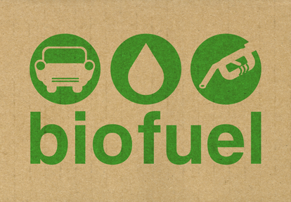 FEDERAL: Biofuels Dialed Back, Tax Reform Inching Forward